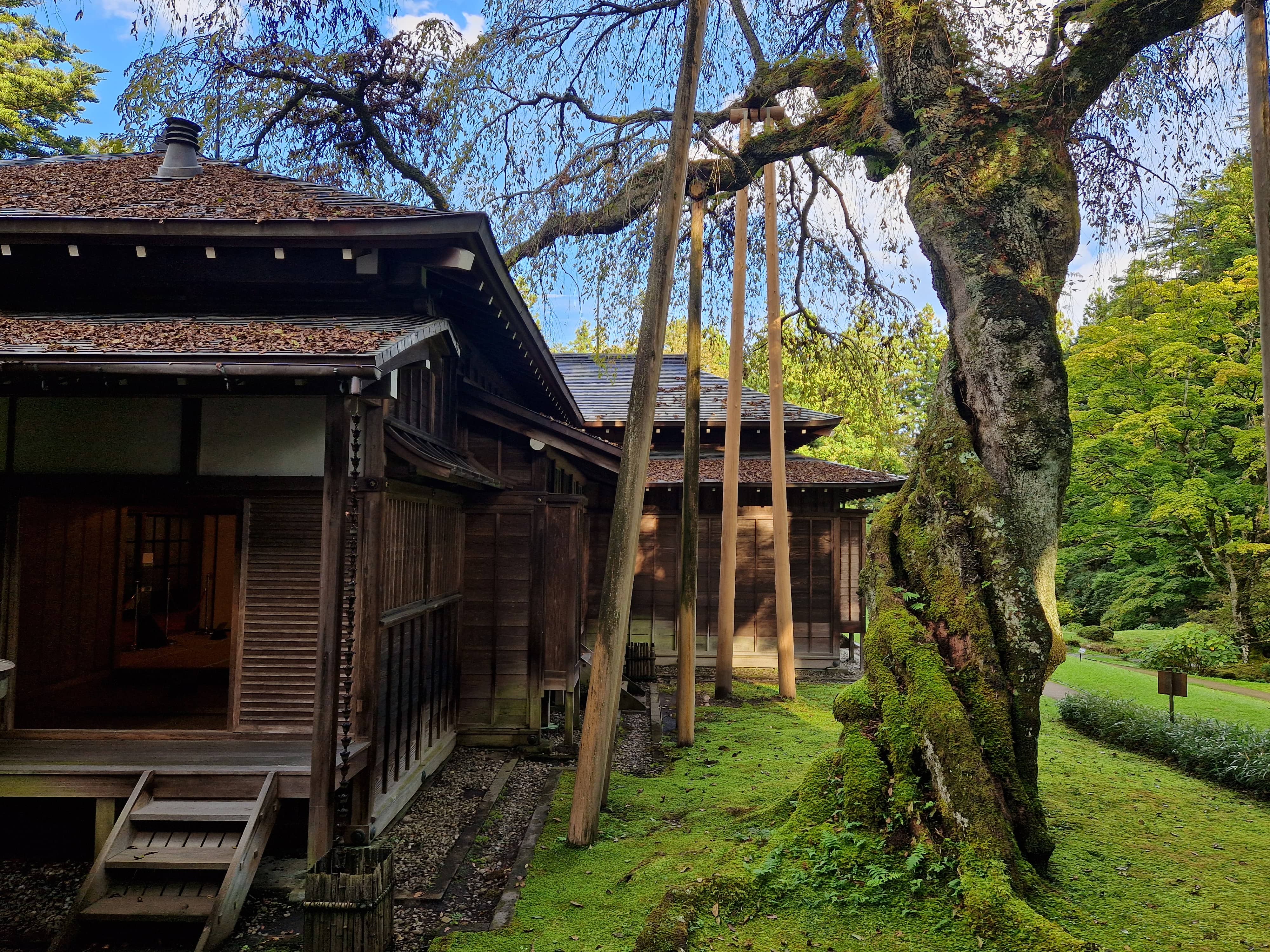 Nikko – one of Japan’s highlights – Trouspinet travels